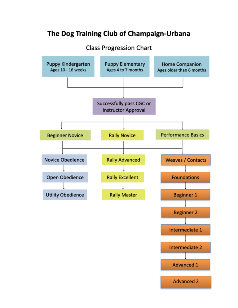Class Progression Chart – Dog Training Club of Champaign-Urbana